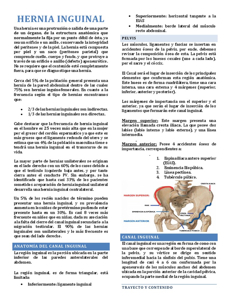 Hernia Inguinal PDF | PDF | Abdomen | Pelvis
