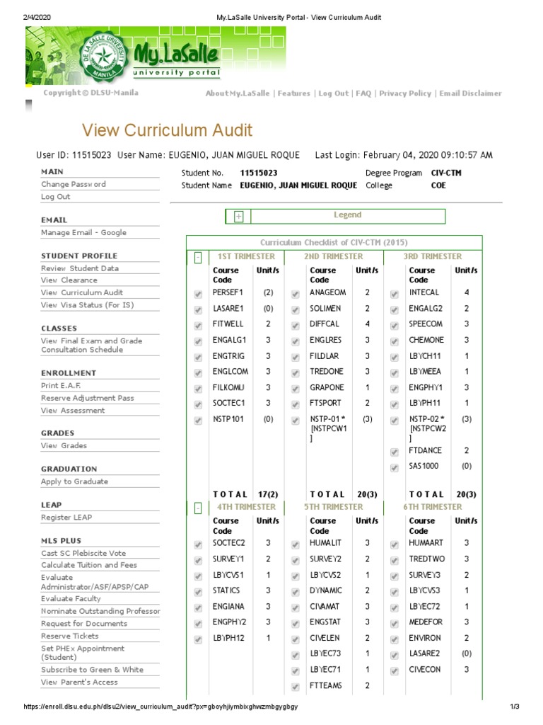 Curriculum Audit | PDF | Internet | World Wide Web