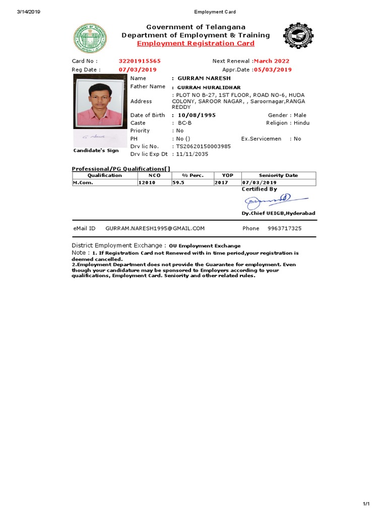 Employment Card M Com | PDF