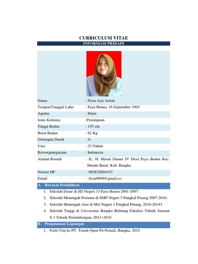 CV Firza Ayu | PDF