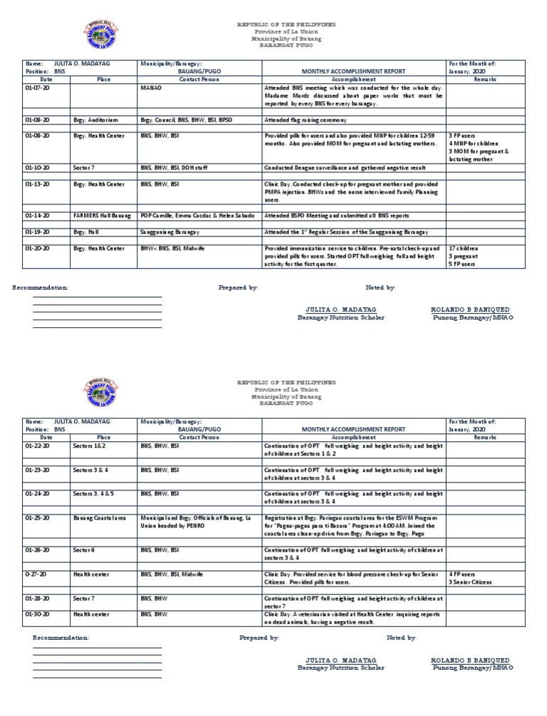 Monthly Accomplishment report-BNS 2020 | PDF | Medicine | Health Sciences