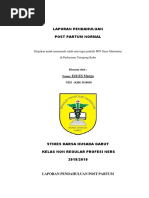 LP Post Partum | PDF