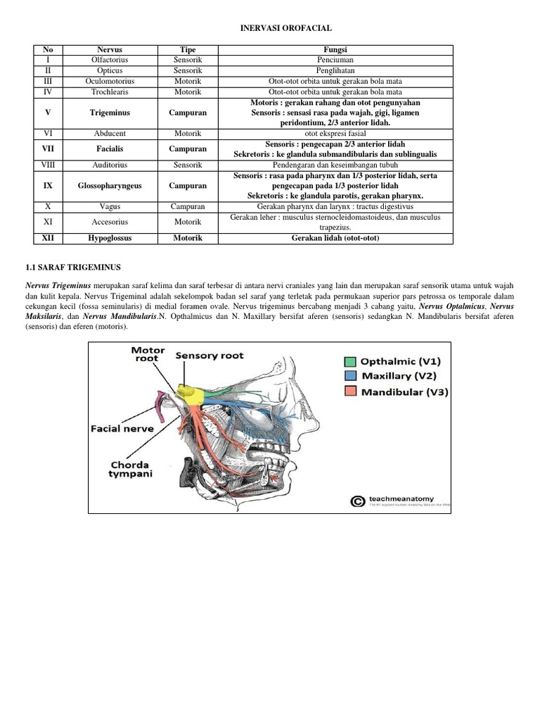 Makalah 15 Inervasi | PDF