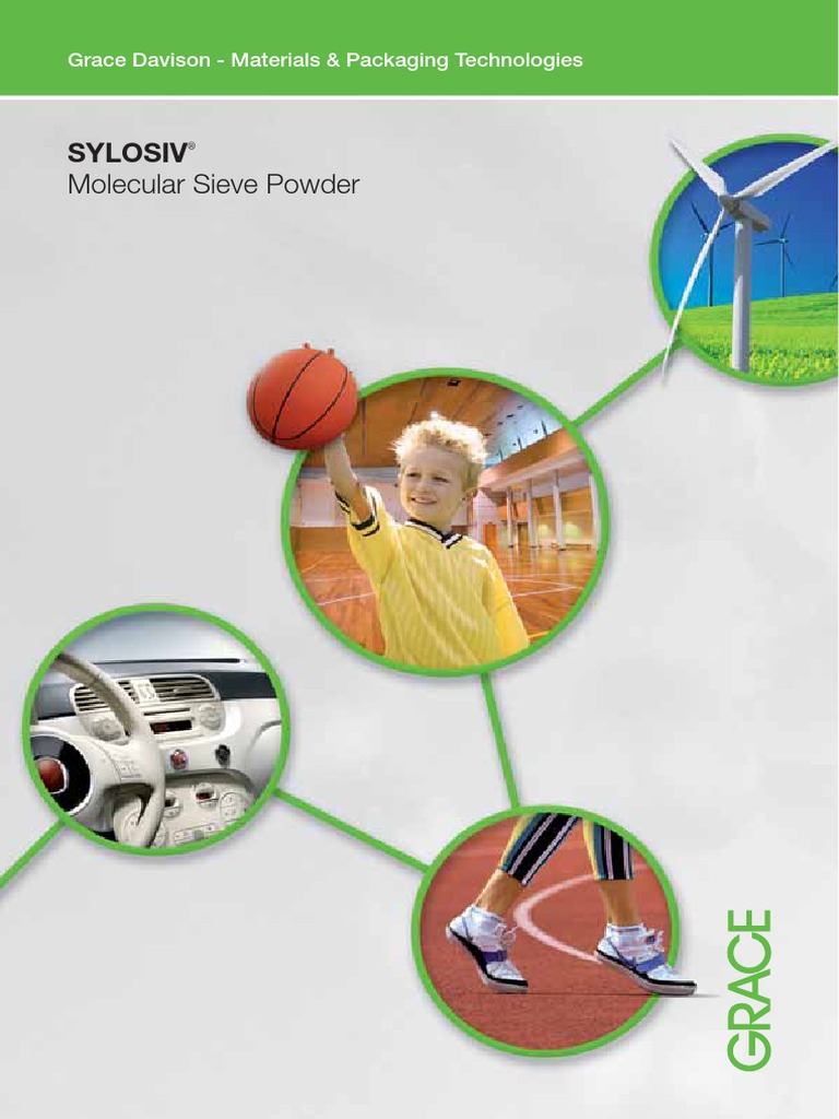 SYLOSIV BR E 080822 PDF | PDF | Zeolite | Adsorption