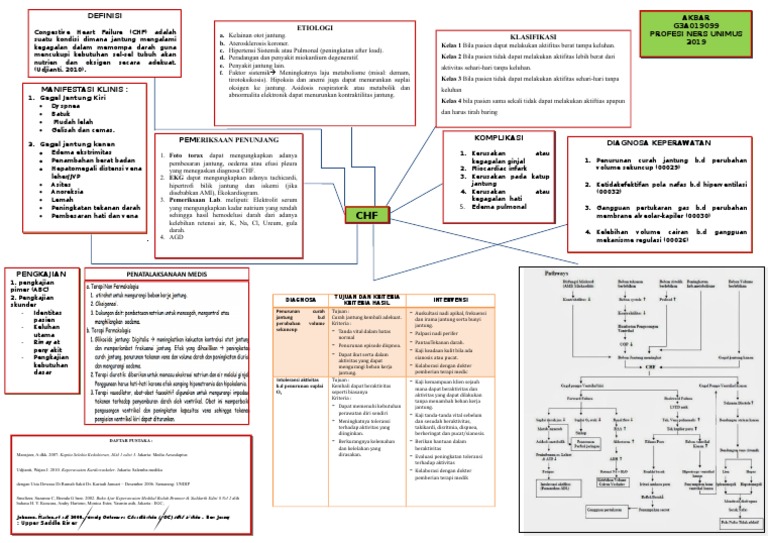 Mind Map CHF | PDF