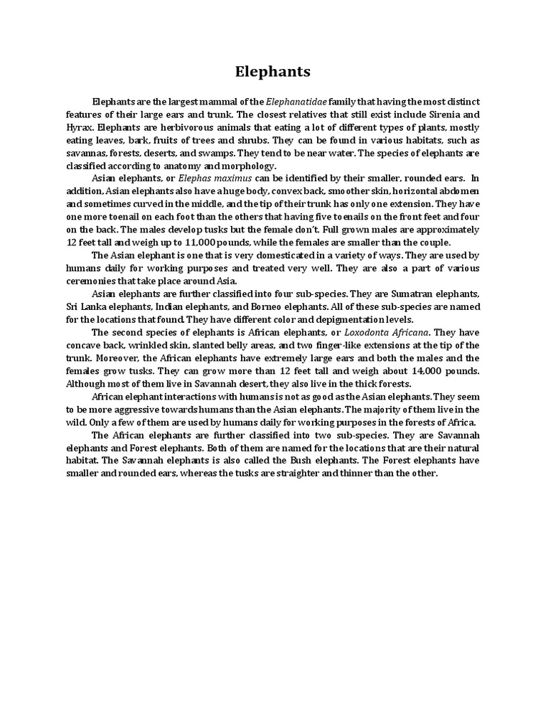 Task 3 - Report Text - Elephant | PDF | Elephant | Proboscideans
