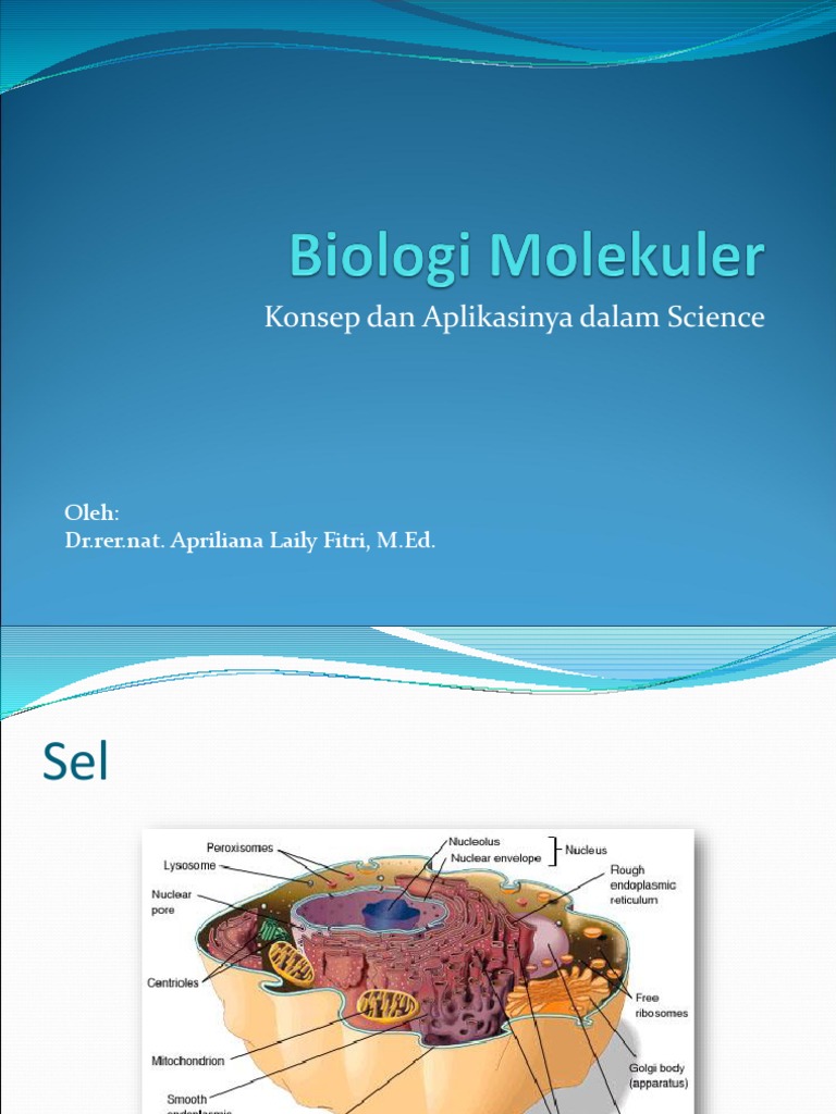 Biologi Molekuler | PDF
