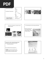 Activity 2 | PDF | Life | Biology