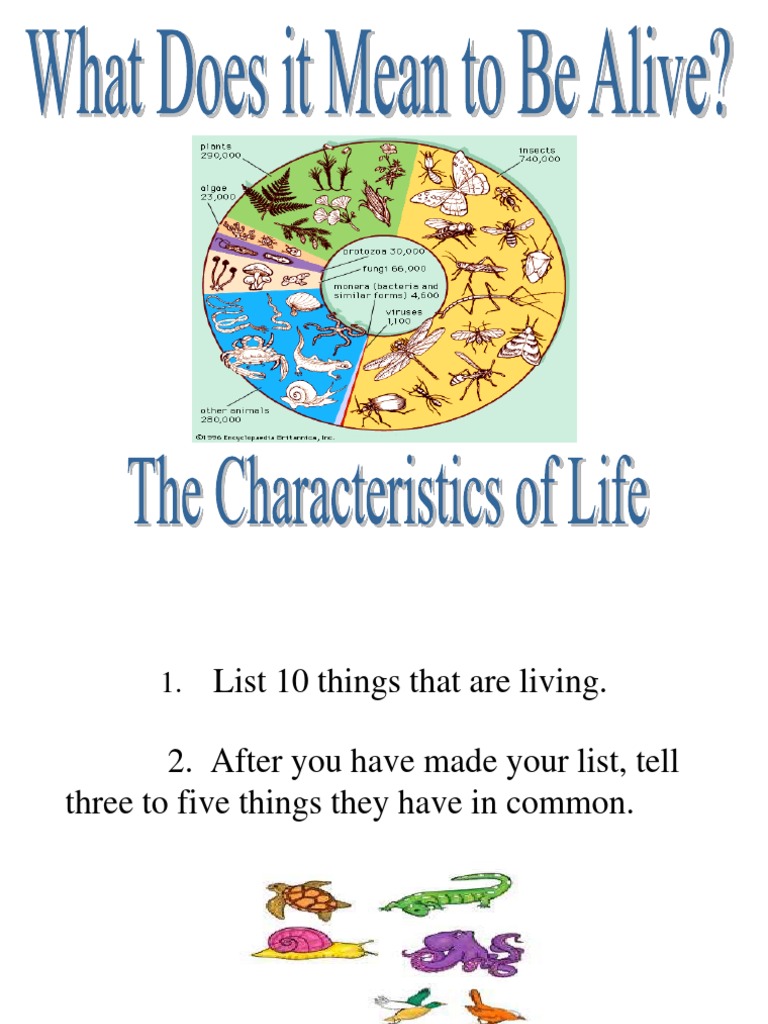 Characteristics of Life | PDF | Organisms | Cell (Biology)