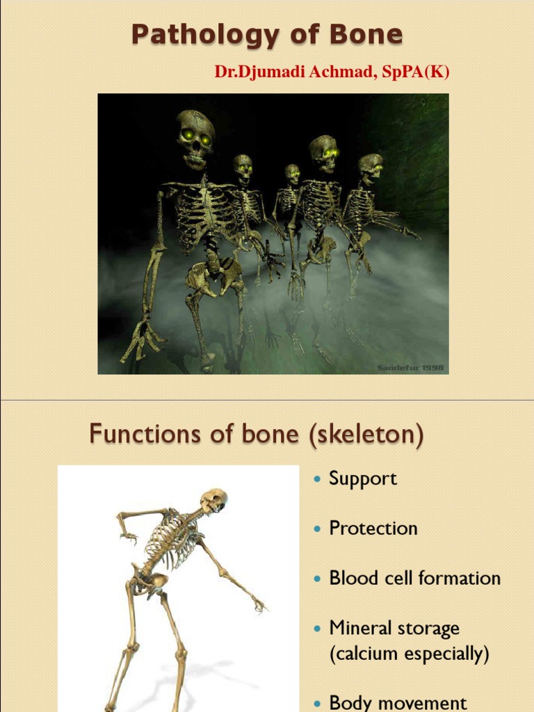 Bone Pathology Overview and Disorders | PDF | Bone | Osteoblast