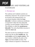 Overview of Capsular Patterns by Joint | PDF | Foreign Language Studies ...