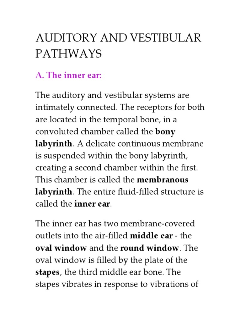 Auditory and Vestibular Pathways | PDF | Nervous System | Auditory System