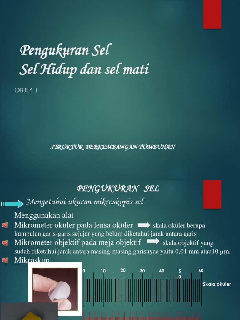 Pengukuran Sel, Sel Hidup Dan Pergerakan Sel | PDF