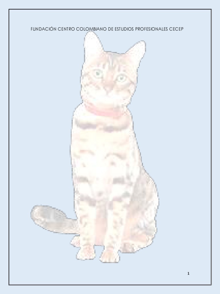 Trabajo Word Gato | PDF | Gatos | Organismos