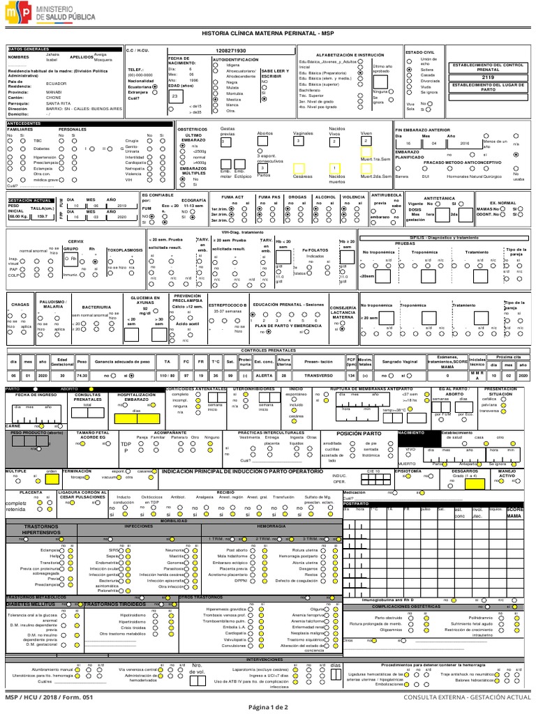MSP Formulario 051.2018 | PDF | Parto | El embarazo