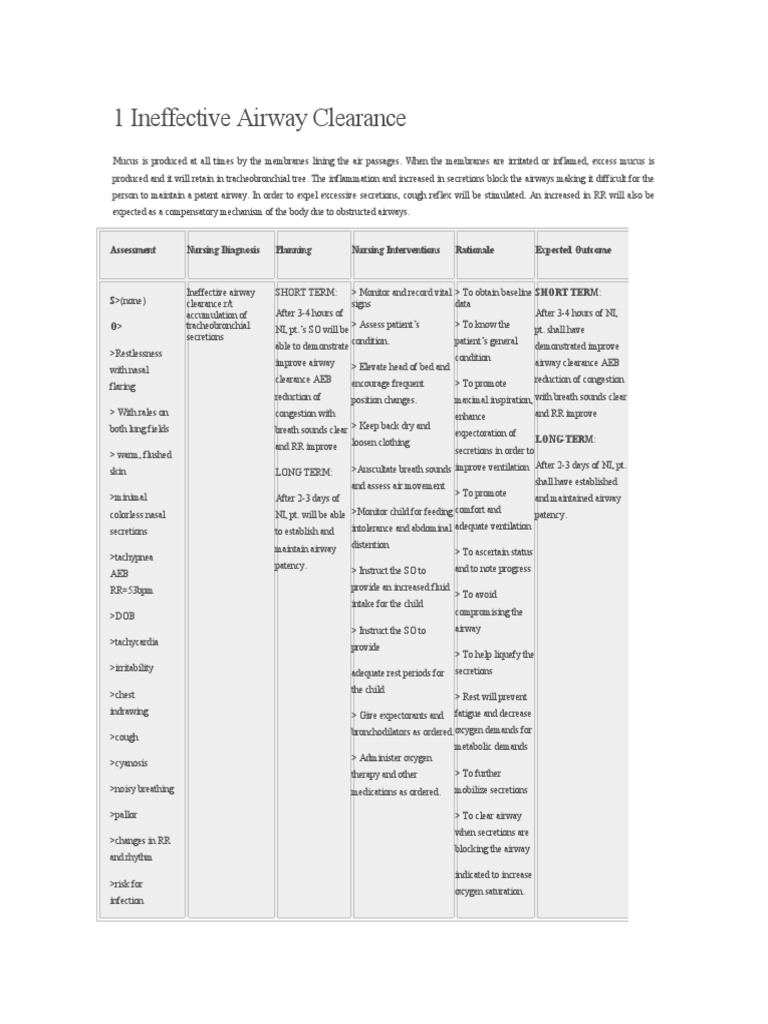 care-plan.pdf | Respiratory Tract | Breathing