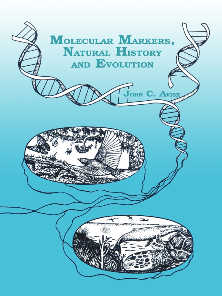 Molecular Markers, Natural History and Evolution PDF | PDF | Molecular Phylogenetics | Evolution