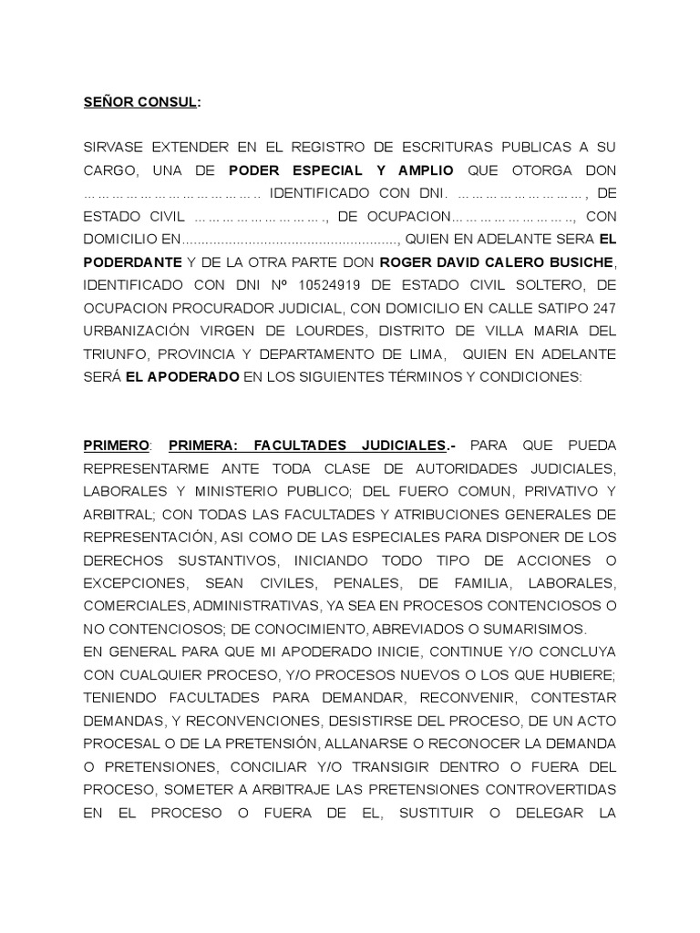 Poder Consular | PDF | Conceptos legales | Gobierno