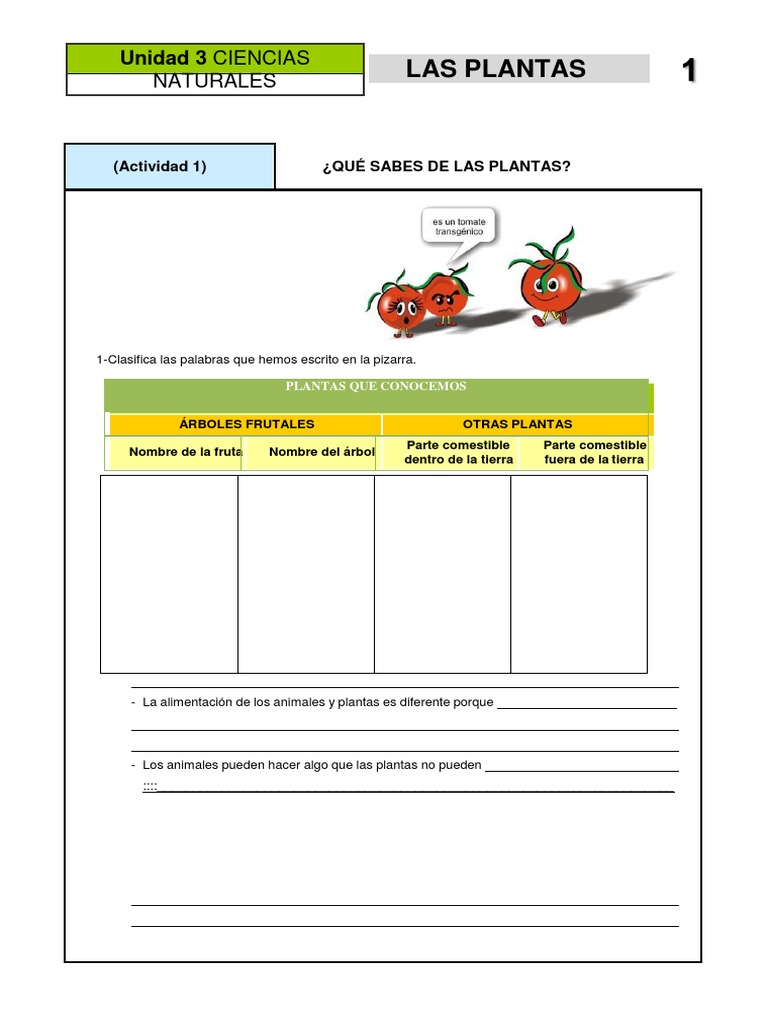 Actividad 1.plantas | PDF | Plantas | Alimentos
