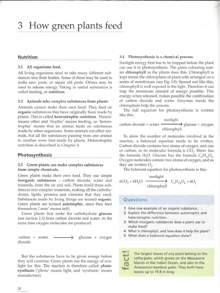 CXC Biology Photosynthesis | PDF