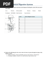 Urinary System For Grade 6 | PDF | Urinary System | Urine
