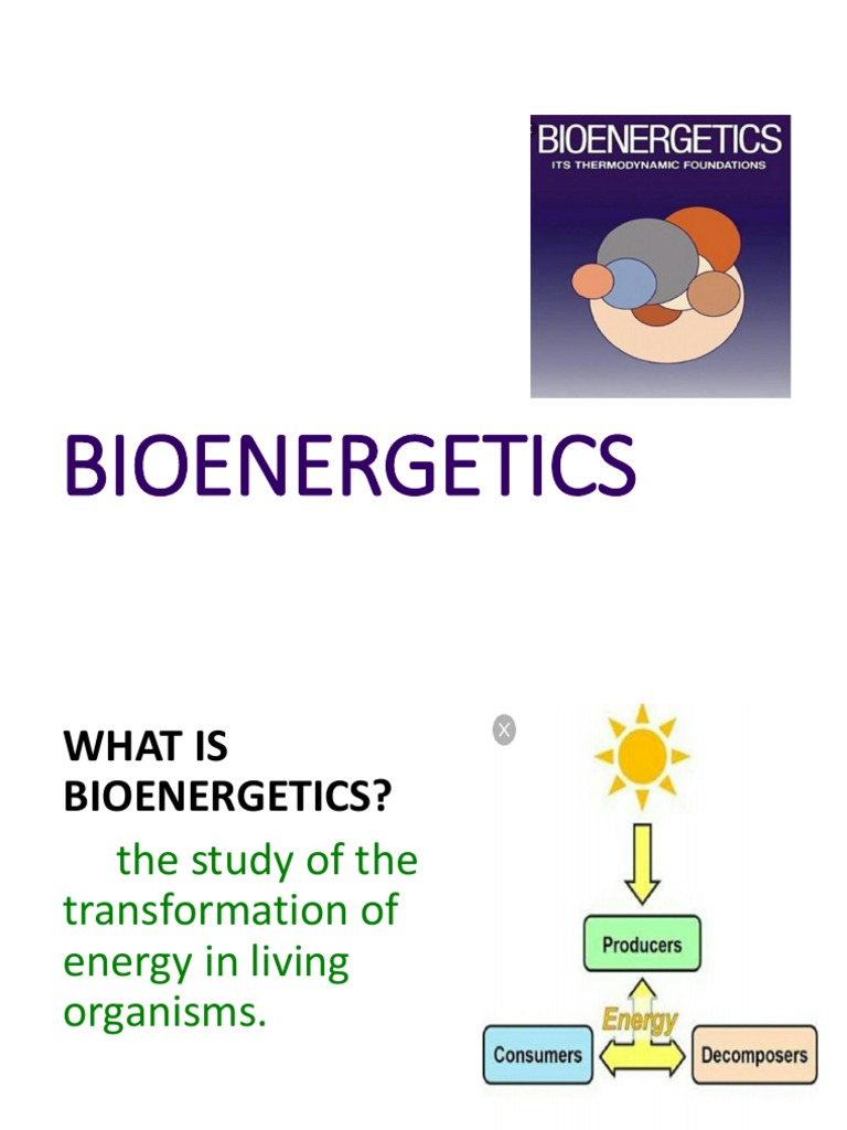 BIOENERGETICS | PDF | Prokaryote | Cell (Biology)