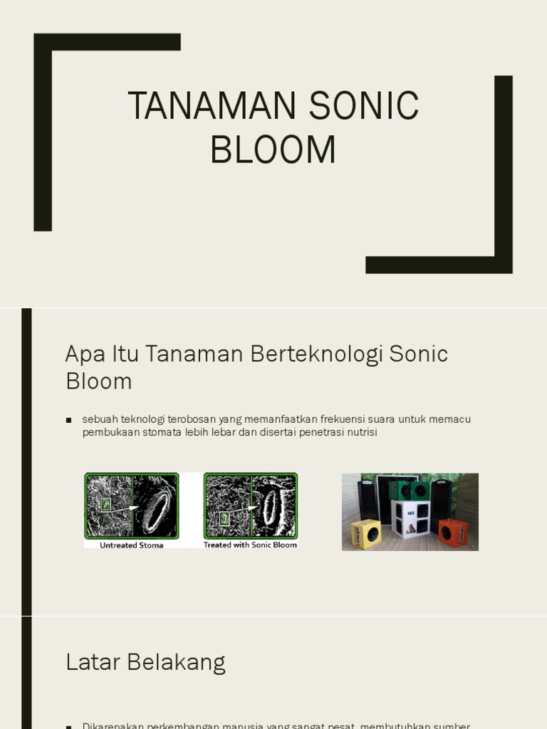 Tanaman Sonic Bloom | PDF