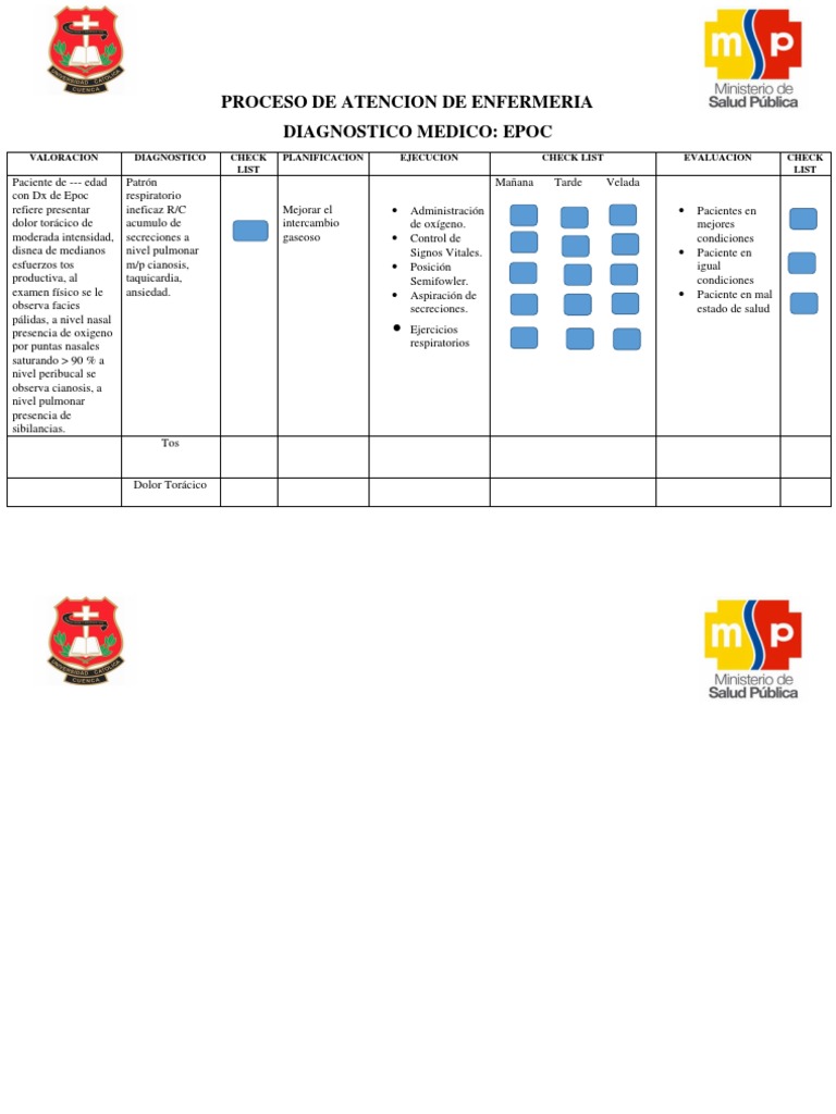 Formato de Pae | PDF