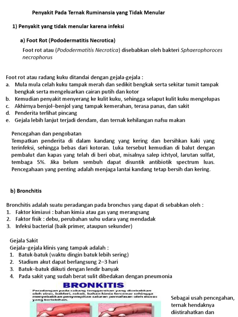 Penanganan Foot Rot pada Sapi | PDF