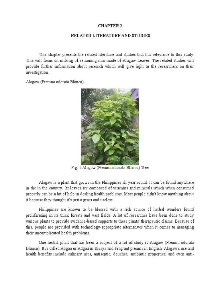 Exploring the Health Benefits of Alagaw (Premna odorata Blanco) Leaves ...