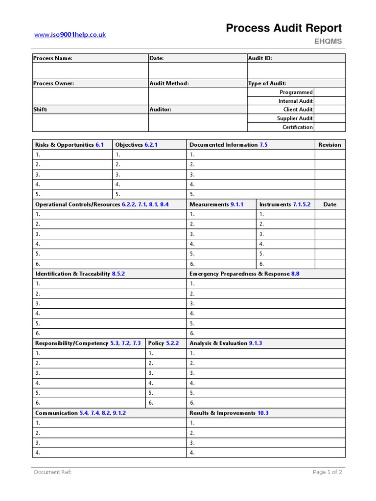EHQMS Process Audit Report | PDF | Auditor's Report | Internal Audit