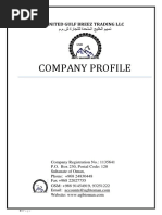QD-SBG Construction: Company Overview | PDF | Qatar | Business