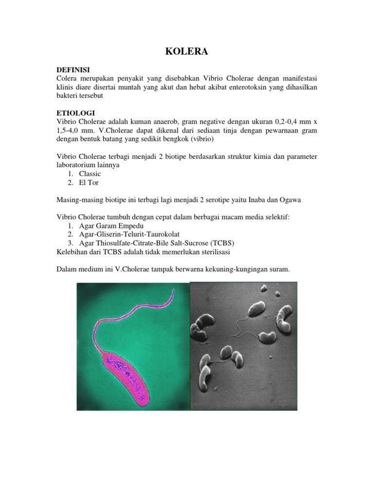 KOLERA | PDF