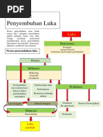 Pembentukan Jaringan Parut Kulit Patofisiologi, Mekanisme Molekuler ...