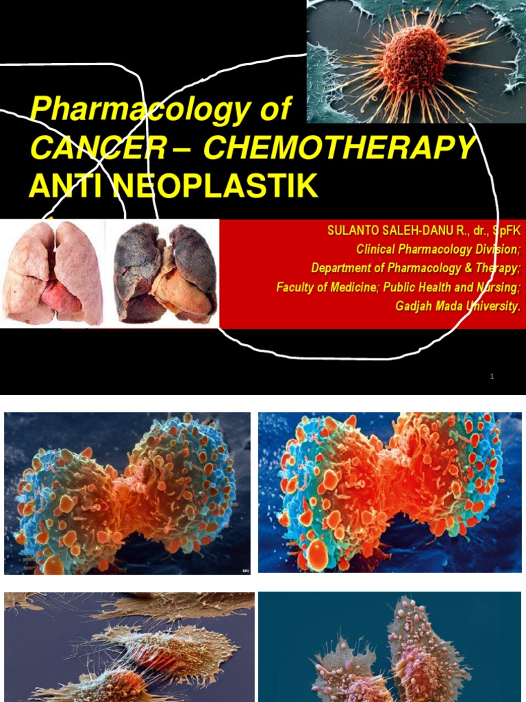 Anti - Neoplastic & Chemotherapy | PDF | Epidermal Growth Factor ...