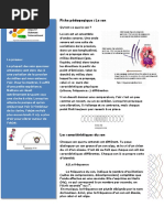 CORRECTION Exercices Emission Perception Son | PDF | Hauteur (musique ...