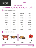 Fisa Citim Pe Silabe | PDF