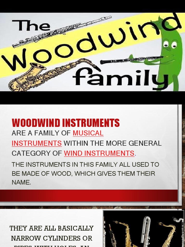 Music Woodwind Instrument | PDF | Woodwind Instruments | Clarinet