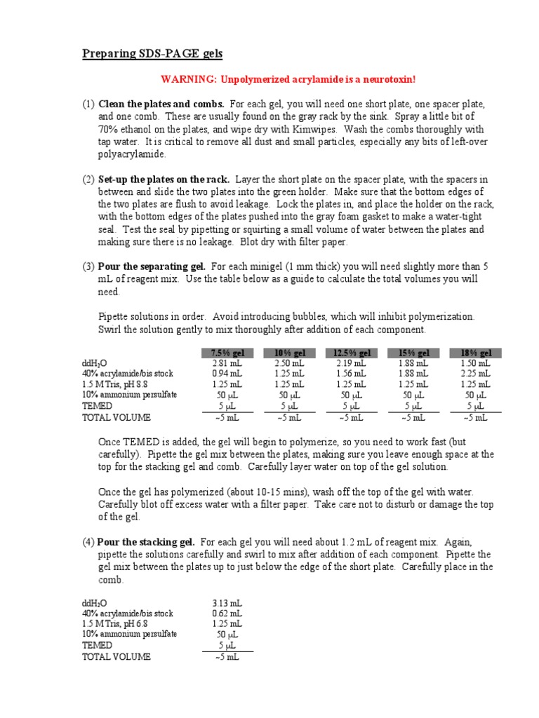 Sds Page Protocol | PDF | Gel Electrophoresis | Polyacrylamide Gel ...