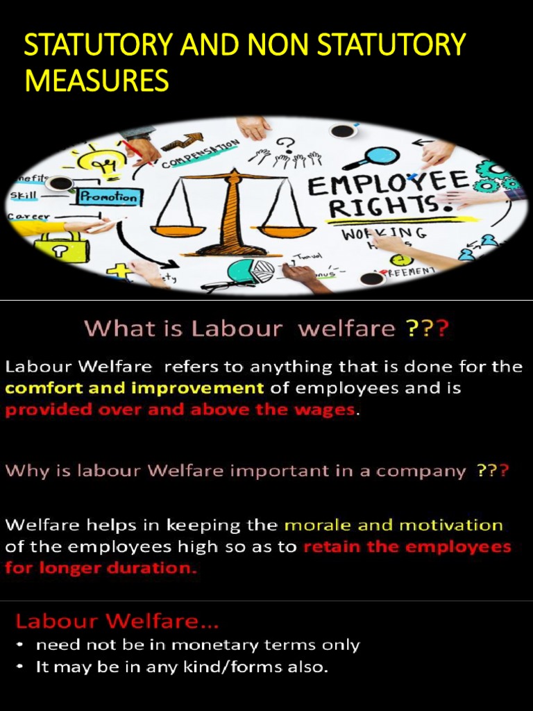 Statutory vs Non-Statutory Welfare Measures | PDF | Business