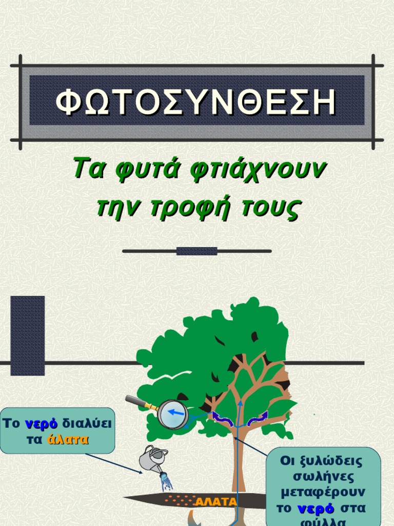 φωτοσυνθεση gia powerpoint | PDF