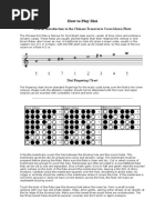 DIZi Finger Chart of Key C | PDF