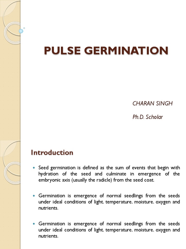 Pulse Germination | PDF | Seed | Germination