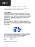 Enzyme Activity Lab Report - IB Biology | PDF | Enzyme | Catalase