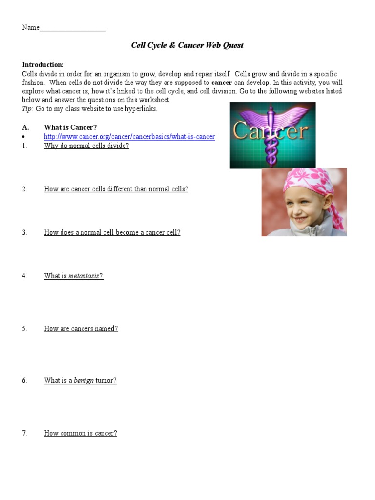 Cell Cycle Regulation Cancer Webquest 2 | PDF | Cell Cycle | Cancer