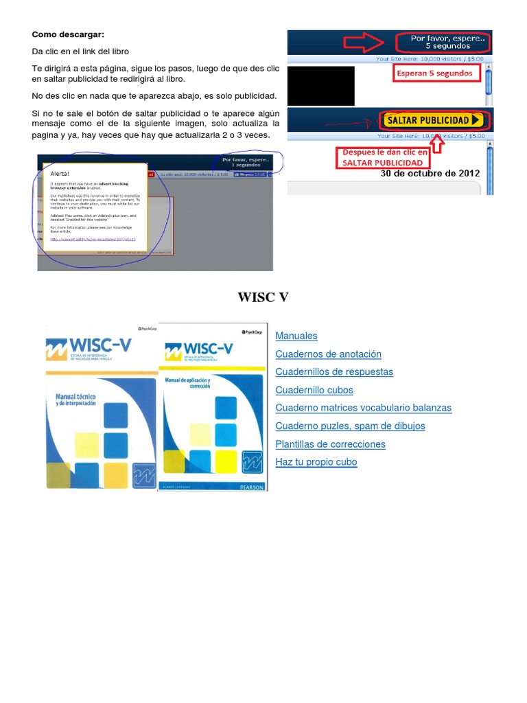 Wisc V | PDF