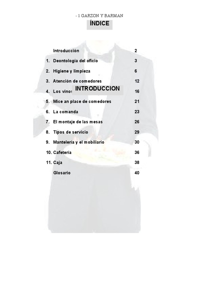 Manual Garzon y Barman | PDF | Cuchillería | Vino