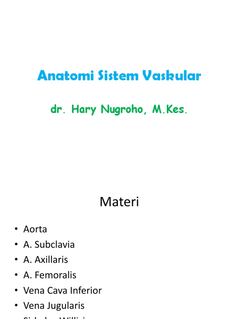 Anatomi dan Fungsi Sistem Vaskular | PDF