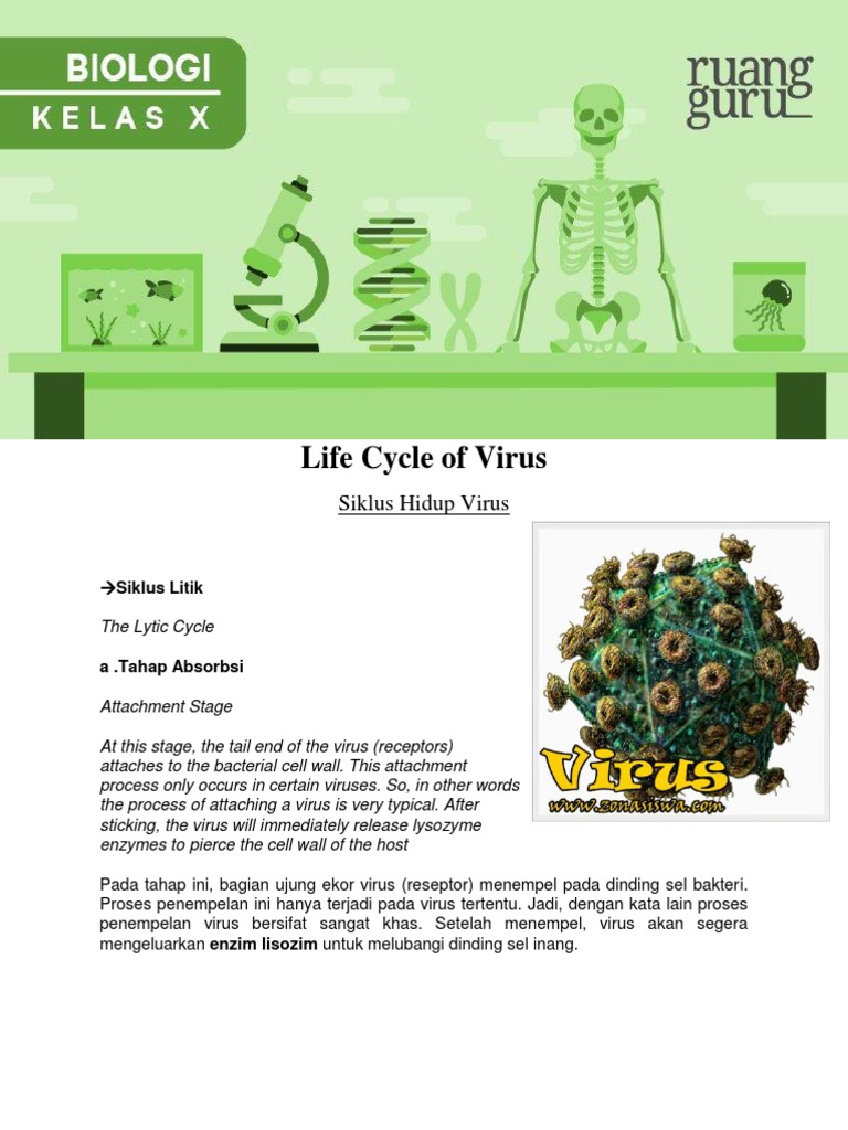 Siklus Hidup Virus: Litik dan Lisogenik | PDF