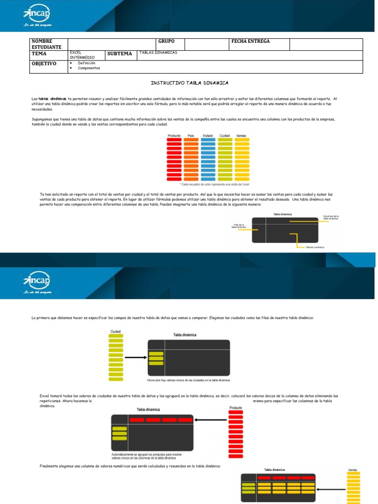 Instructivo Tablas Dinamicas | PDF | Microsoft Excel | Informática